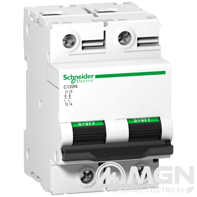 INTERRUPTOR TERMOMAGNETICO C120N 2X100A 10KA CURVA C | MAGNANI